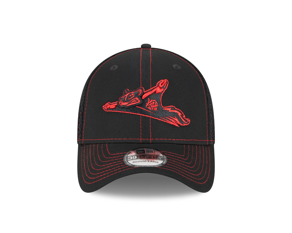 Richmond Flying Squirrels New Era Children's 39Thirty Team Neo ...